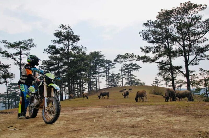 Dirt Bike Guided Tour in Dalat's Highlands - Final Thoughts: Who Should Consider This Tour