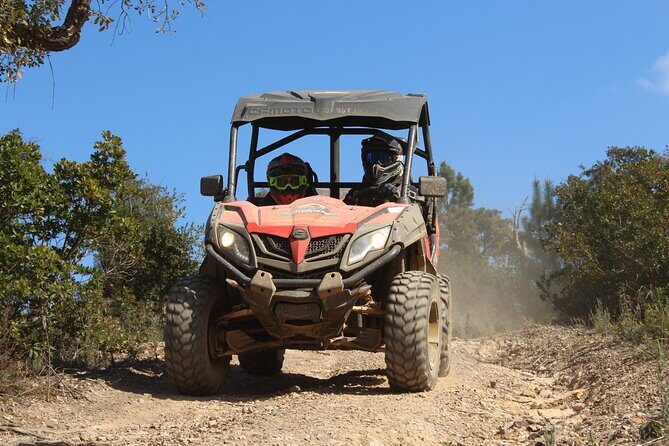 Dirt & Dust Buggy Tour - Introduction