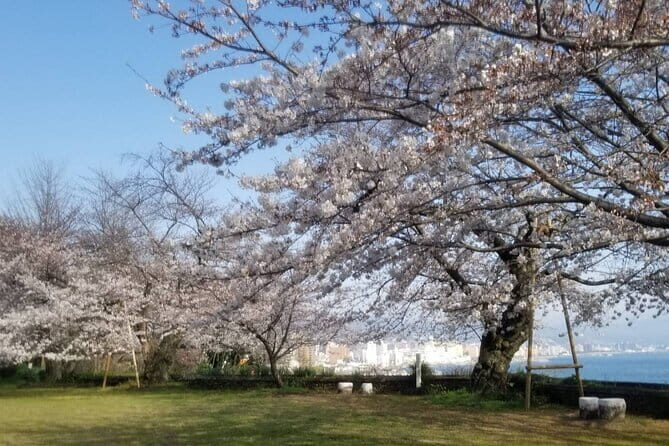 Discover 270 Buddha Statues on a 1,280-year-old Pilgrimage Route - Final Thoughts