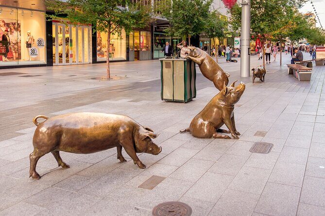 Discover Adelaide  Central - Practical Details and Tips