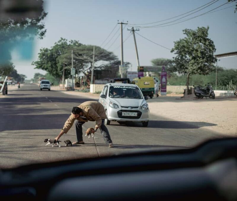 Discover Ahmedabad: Temples, Mosques & Secret Streets Tour - What Makes This Tour Special?