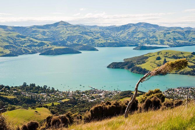 Discover Akaroa: Self Guided Audio Tour - Introduction