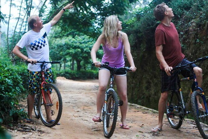 Discover Ancient Ella by Cycling - Key Points