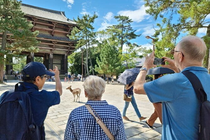 Discover Ancient Nara: Private Car Tour from Kyoto or Osaka - The Value for Money