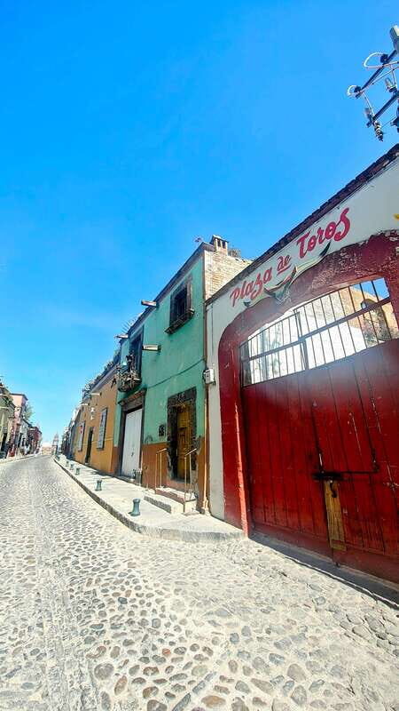 Discover and Explore San Miguel de Allende - Who Should Take This Tour?