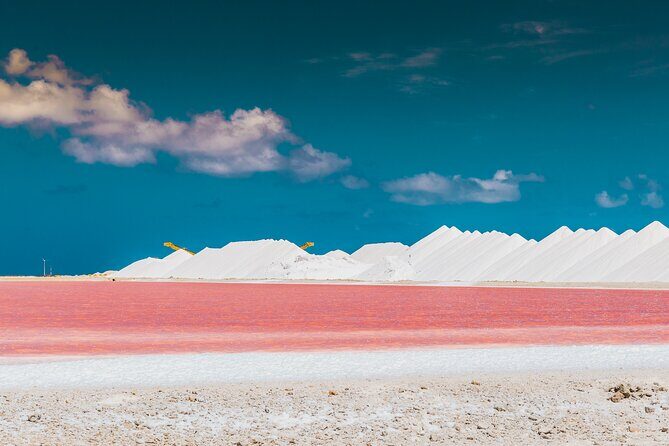 Discover and Explore the Salt Works and Slave Huts in Bonaire - Exploring Bonaire’s Salt Works and Slave Huts: A Practical Guide