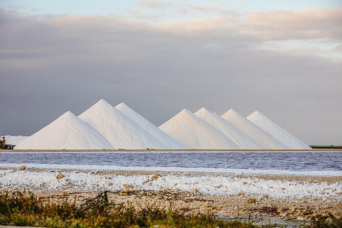 Discover and Explore the Salt Works and Slave Huts in Bonaire - Key Points