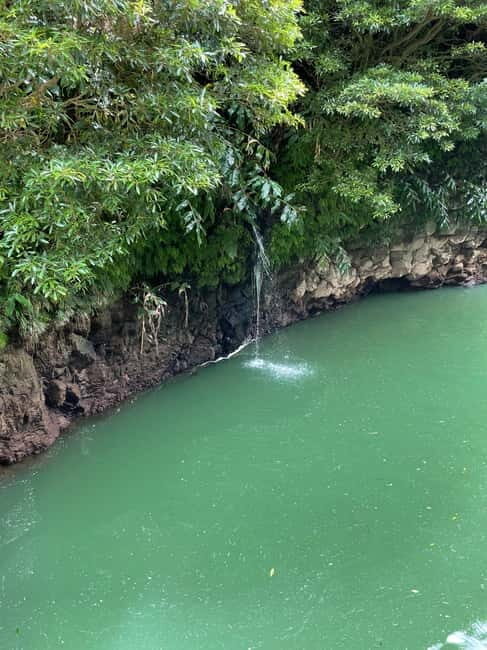 Discover and Hike São Miguel with Rúben - Final Thoughts