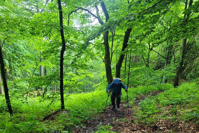 Discover Apuseni Mountains - Scarita Summit,Sipote Waterfall and Dumesti Village - Final Thoughts