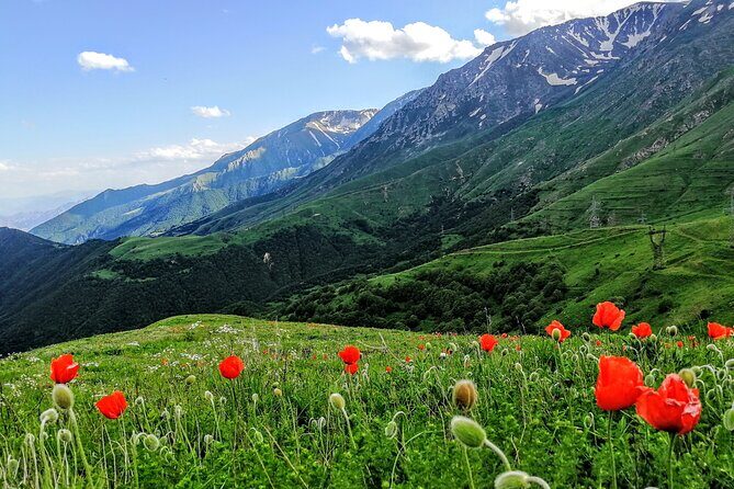 Discover Armenia in 7 days - A Complete Look at the 7-Day Armenia Tour