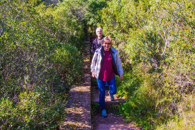 Discover Arrábida: The Secret Paradise - Experience Outline: What to Expect on the Arrábida Tour