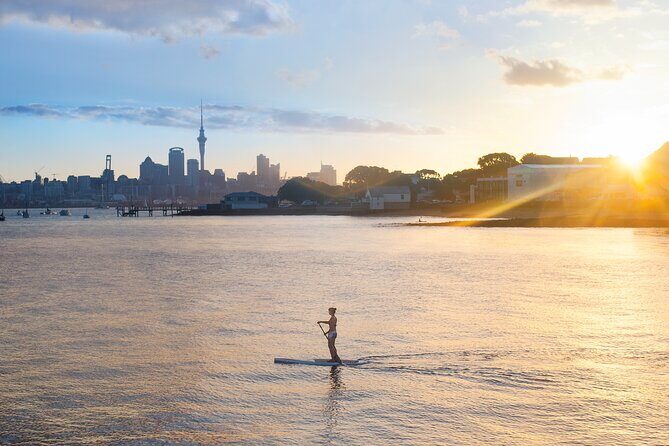 Discover Auckland City Tour: The City of Sails - An In-Depth Look at the Discover Auckland City Tour