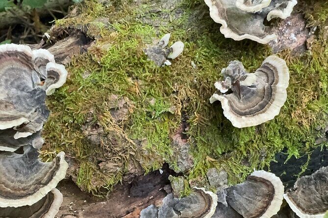 Discover Aurora Illinois Hiking Getaway - Final Thoughts: Is It Worth Your Time?