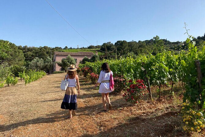 Discover Authentic Flavors of Elba Island: Winery Tour & Tasting - Key Points