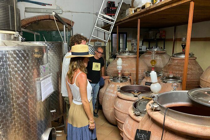 Discover Authentic Flavors of Elba Island: Winery Tour & Tasting - An In-Depth Look at the Winery Tour & Tasting Experience