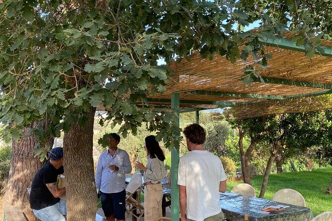 Discover Authentic Flavors of Elba Island: Winery Tour & Tasting - Frequently Asked Questions