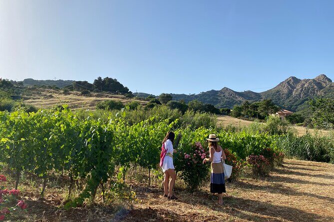 Discover Authentic Flavors of Elba Island: Winery Tour & Tasting - Final Thoughts
