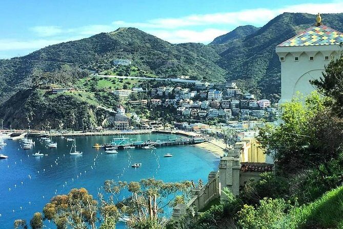 Discover Avalon: Catalina Scenic Tour - Discover Avalon: Catalina Scenic Tour — A Practical, Authentic Snapshot of Catalina Island