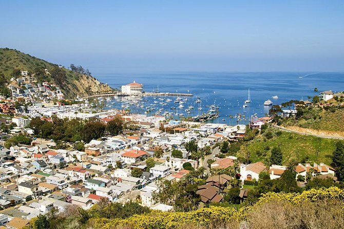 Discover Avalon: Catalina Scenic Tour - The Route and Its Highlights