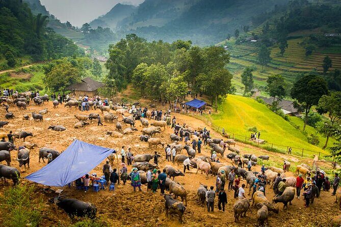 Discover Bac Ha Market: Culture & Scenic View - Historical and Architectural Highlights