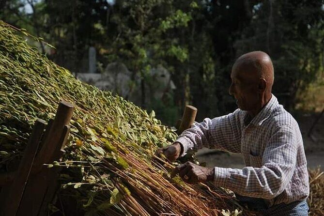 Discover Bagan Day Tour - Comparing Similar Tours