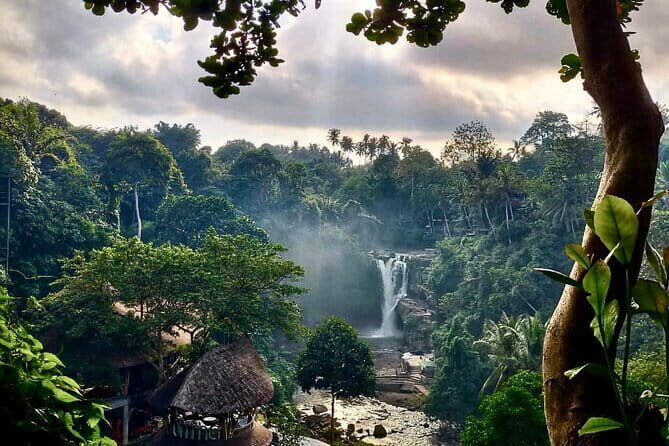 Discover Bali Best Tours: Tanah Lot, Monkey Forest, and Waterfall - Introduction: An Authentic Bali Experience in a Day