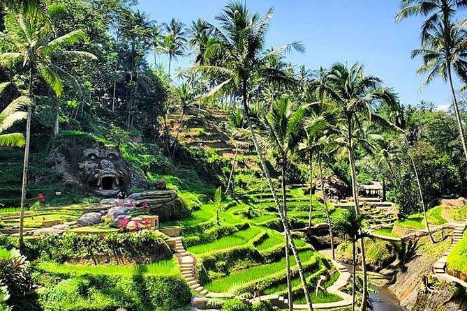 Discover Bali Your Way With Aman Bali Driver - What the Reviews Say