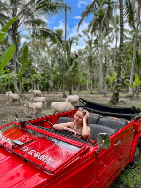 Discover Balis Roots in a Vintage VW - The Sum Up