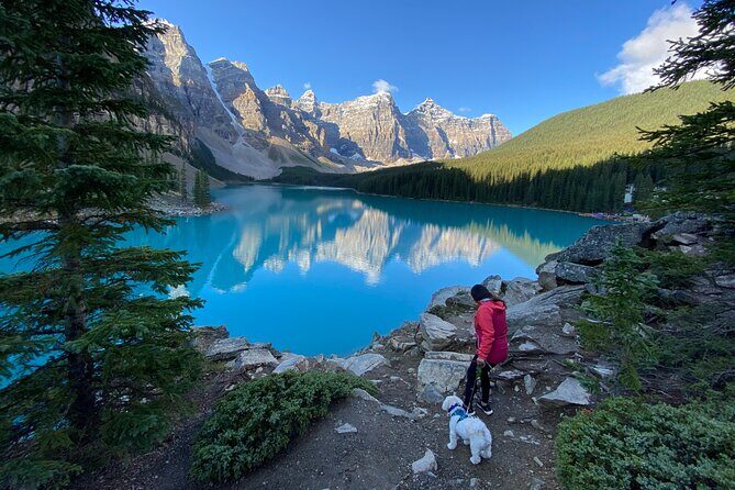 Discover Banff National Park with Dog Friendly Exclusive Tour - Transportation and Comfort