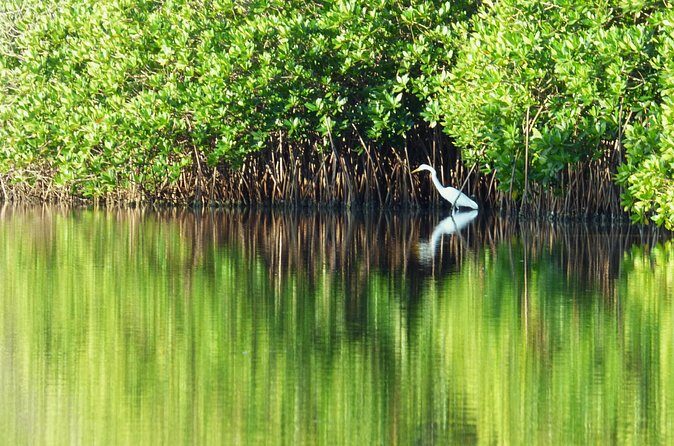 Discover Barra de Potosí - Practical Details and Considerations