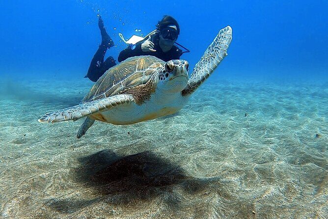 Discover beginner diving in Tenerife - Discover Beginner Diving in Tenerife