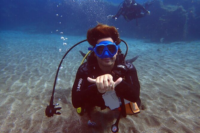 Discover beginner diving in Tenerife - In-Depth Review of the Experience