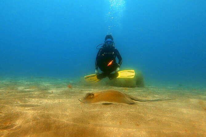 Discover beginner diving in Tenerife - Who Should Consider This Experience?