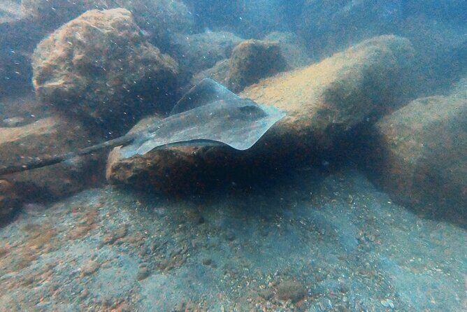 Discover beginner diving in Tenerife - FAQ