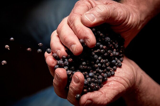 Discover Bellarine Wine, Cider and Craft Beer with Private Bus - Transportation, Timing, and Group Size