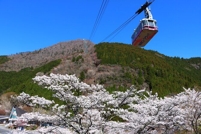 Discover Beppu and Yufuin Nature and Onsen Trip - FAQs