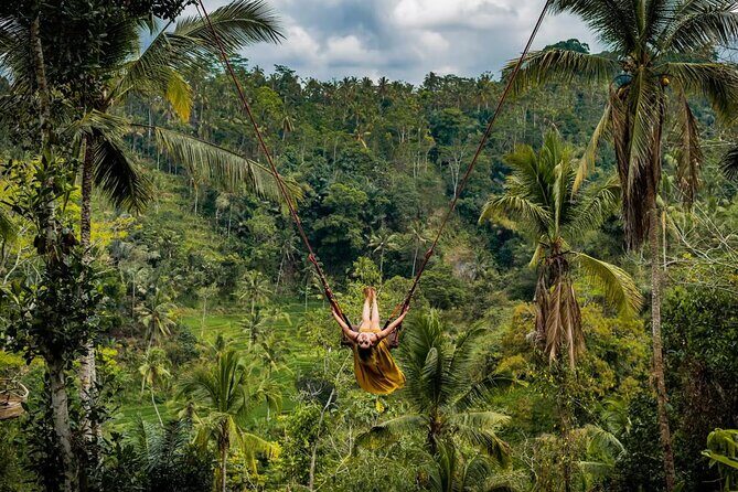 Discover Best of Ubud Day Tour with Private Guide - The Sum Up
