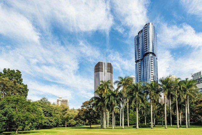 Discover Brisbane - In-Depth Breakdown of the Experience