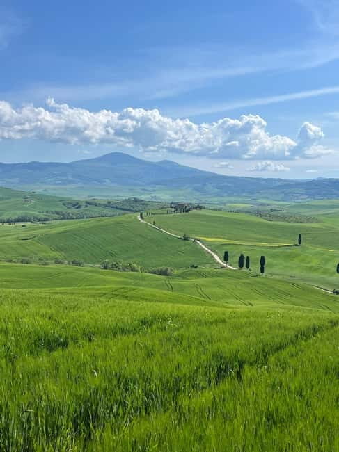 Discover Brunello Wines - A Genuine Taste of Tuscany’s Wine and Food