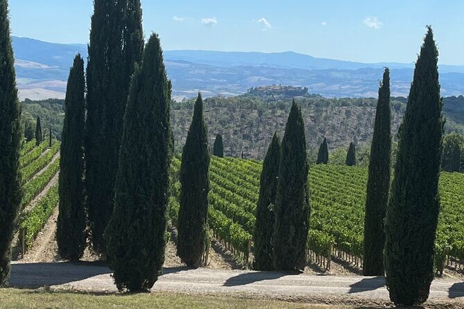 Discover Brunello Wines with DiWine Experience - Discover Brunello Wines with DiWine Experience