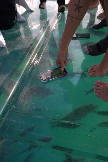 Discover Cabo San Lucas Clear Boat Glass Factory & Tequila - What Travelers Are Saying