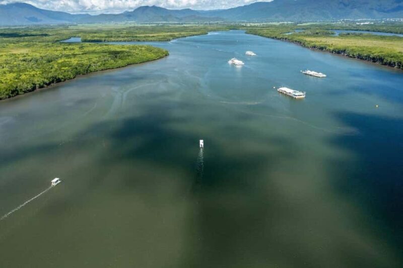 Discover Cairns: Cairns River Cruise & City Sights Tour - Who Will Love This Tour?