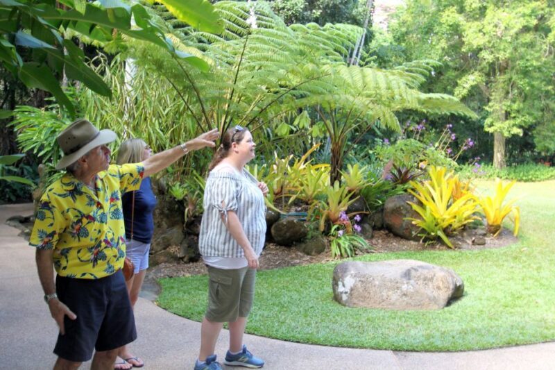 Discover Cairns: Cairns River Cruise & City Sights Tour - FAQ