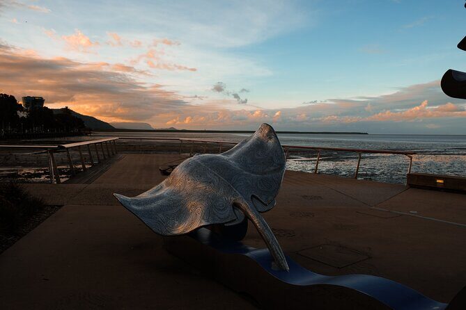 Discover Cairns Private Day tour with optional airport drop-off - Transportation & Comfort
