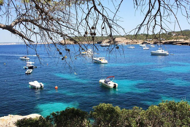 Discover Cala Bassa and Cala Comte on board a catamaran - The Reality of Reviews: A Mix of Praise and Cautions