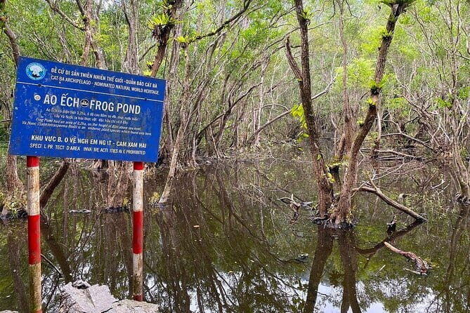 Discover Cat Ba National Park: Full-Day Trek, Bike & Kayak Tour - An In-Depth Look at the Tour Experience