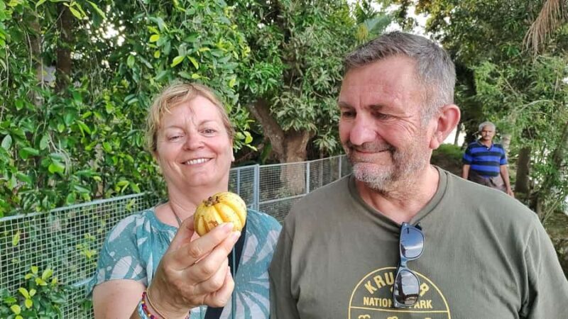 Discover Chennamkari: A Day In The Heart Of Alleppey - Final Thoughts