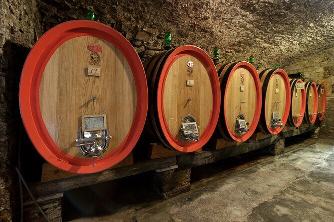 Discover Chianti Classico Wines DiWine Experience - An In-Depth Look at the Tour