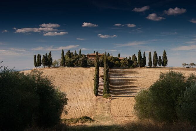 Discover Chianti: Half-Day Tour - Key Points