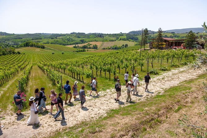 Discover Chianti: Half-Day Tour - Who Should Consider This Tour?
